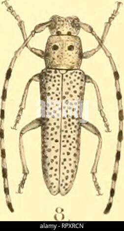Aid to the identification of insects London E.W. Janson 1880-90 ...