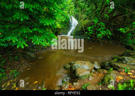 Wigmore's waterfall also known as Papau waterfall on Rarotonga in the ...
