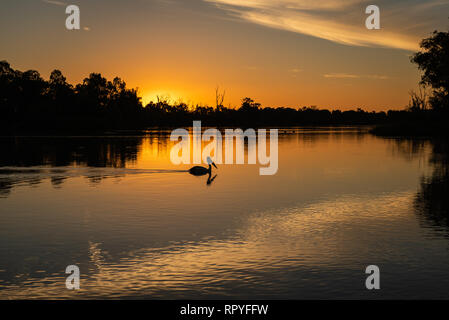 SUNSET OVER THE RIVER MURRAY WETLANDS IN SOUTH AUSTRALIA. VIEWS OF A ...
