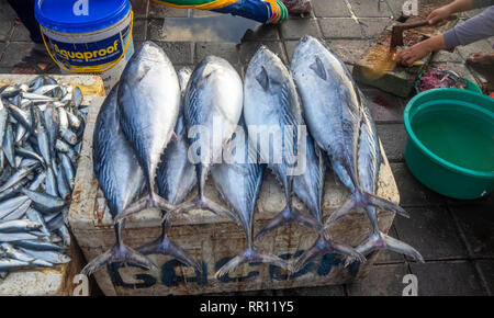 Fresh fish at Kedonganan Fish Market, Jimbaran Bay Bali Indonesia Stock ...