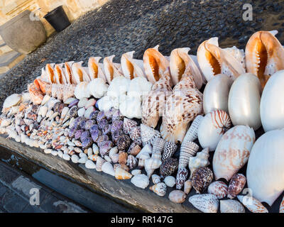Sea shells for sale, Kuta Beach, Bali, Indonesia Stock Photo - Alamy