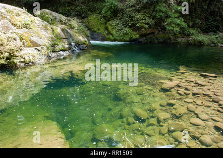 Ladies Well, Chichester State Forest, New South Wales, Australia Stock ...