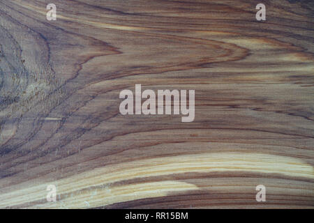 cedar tree wood texture Stock Photo - Alamy