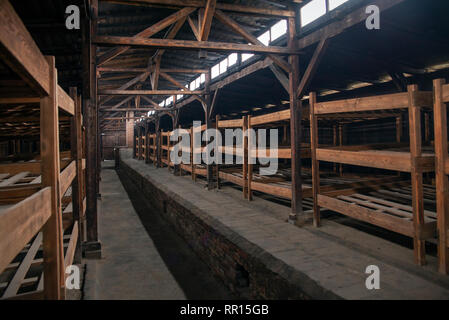 Prisoner bunks in Auschwitz Birkenau Concentration Camp, Poland Stock ...
