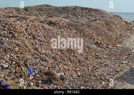 Sun-dried Cymbium (Yet or Yette), favourite traditional seafood in ...