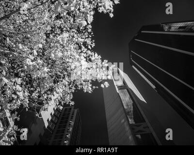 Infra red cityscapes with vegetation Stock Photo - Alamy