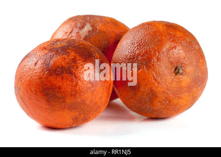 three damaged tangerine isolated on white background Stock Photo - Alamy