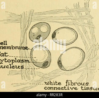 . Advanced biology. Biology; Physiology; Reproduction. Photomicrograph ...