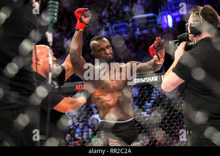 Dublin, Ireland, 23rd February 2019 - Bellator217, Dublin. Myles Price ...