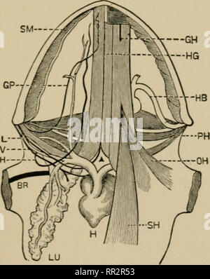 . Advanced lessons in practical physiology for students of medicine ...