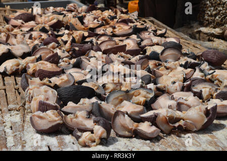 Sun-dried Cymbium (Yet or Yette), favourite traditional seafood in ...