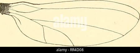 . An account of British flies (Diptera). Diptera -- Great Britain. Fic ...