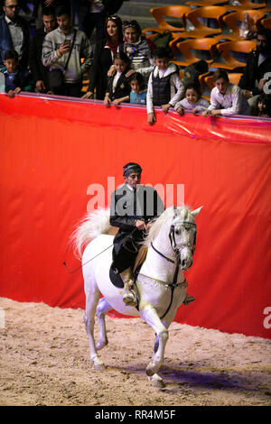 Tehran, Iran. 23rd Feb, 2019. An Iranian female rider performs horse ...