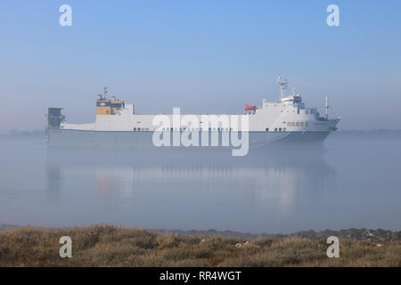The Celestine cargo ship sails along the Thames Estuary before the mist ...