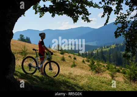 Silhouette of Cyclist with bike near big spruce tree at snow mountains ...