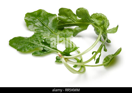 Bunch of fresh rucola isolated on white background Stock Photo - Alamy