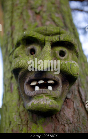 face carved on a pine tree trunk in the forest Stock Photo - Alamy