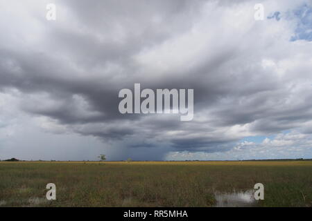Rainclouds over the expanse of sawgrass in Everglades National Park ...