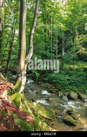 A landscape view of a narrow river among the mountains and hills on a ...
