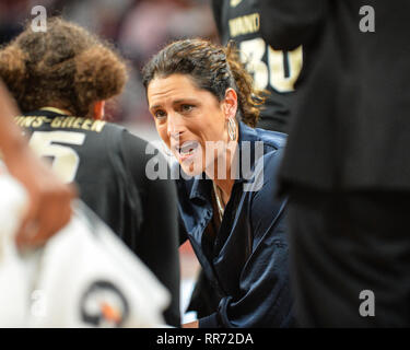 Starkville, MS, USA. 24th Feb, 2019. Mississippi State guard, Andra ...