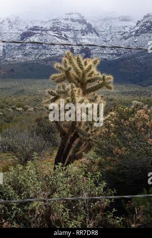 A winter storm hit the Phoenix desert covering the Superstition ...