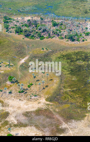 Aerial view of Okavango Delta (Okavango Grassland), One of the Seven ...