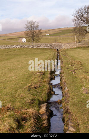 A Small Stream Running Through a Field in Langdale Valley Lake Stock ...