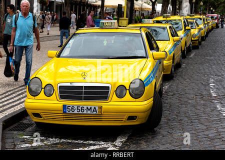 Yellow taxis at a taxi rank Funchal, Madeira Stock Photo - Alamy