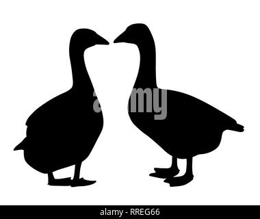 Love birds illustration. Two geese look lovingly at each other Stock ...