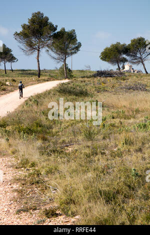 France, Bouches du Rhone, Vitrolles, Berre pond, Marettes beach, A55 ...