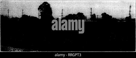 Poppy Fields Showing Bright Red Flowers for remembrance armistice ...