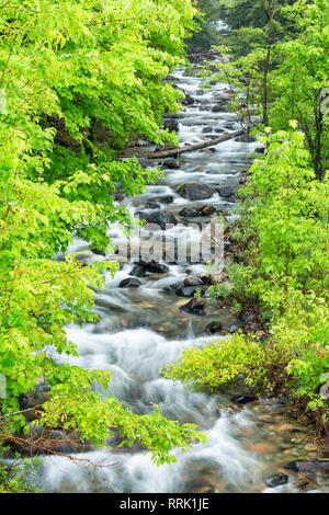 creek in spring Stock Photo - Alamy