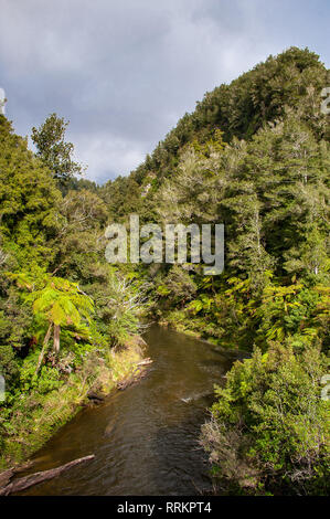 Tangarakau River Tangarakau Gorge Forgotten World Highway King Country ...