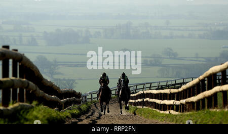 Horses from Paul Nicholls stable on the gallops during the visit to ...