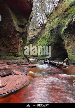 Finnich Glen, also known as Devil's Pulpit near Loch Lomond, Scotland ...