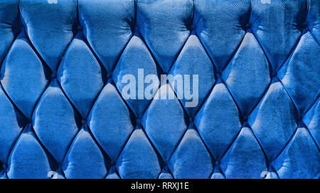 Blue fabric sofa texture with buttons for background and design Stock ...