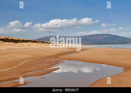 COUL LINKS EMBO SUTHERLAND SCOTLAND SEA GRASS ON A DUNE LOOKING TOWARDS ...