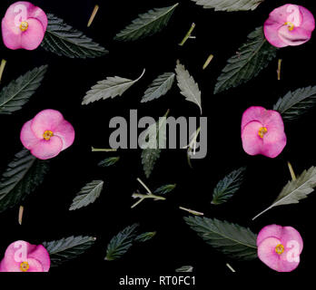 Pink flowers spring bacground Stock Photo - Alamy