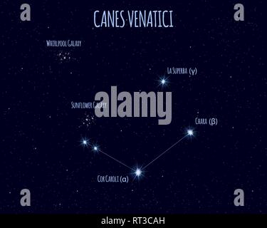 Canes Venatici constellation. Starry night sky. Vector illustration ...