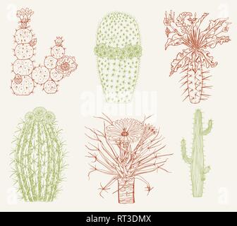Cactus with prickles and flowers. Desert plant. Hand drawn colored flat vector illustration ...