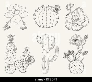home cactus plants with prickles and nature elements in pots and with flowers. exotic or ...
