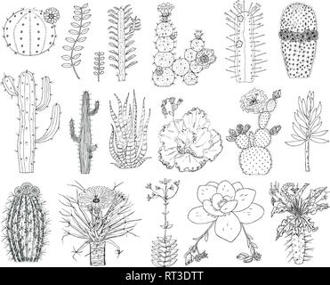 Set of beautiful succulents in cartoon style. Vector illustration of pots with succulents and ...