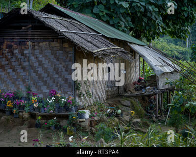 Yangthang Village, Gyalshing, West Sikkim, Sikkim, India Stock Photo ...
