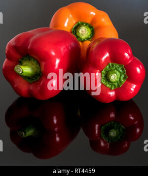 Two vivid red bell peppers, known as capsicum, displayed on dark ...
