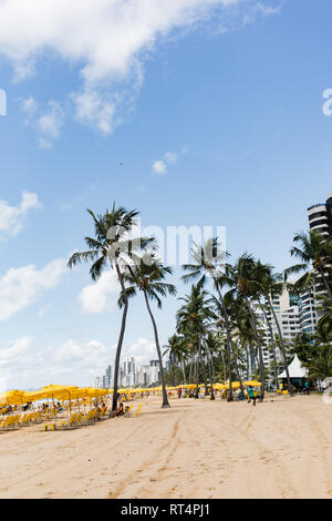 Recife, a beautiful Beach Town in the North of Brazil Stock Photo - Alamy