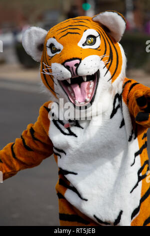 Tiger mascot walks in parade Stock Photo - Alamy