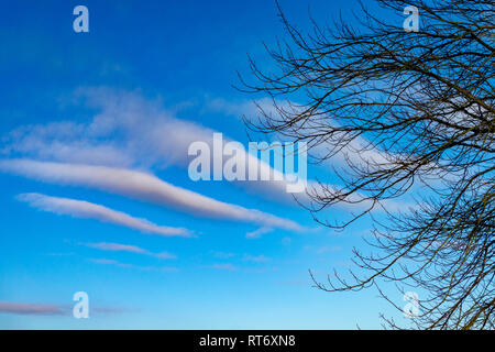 mares tail cirrus cloud cloudscape at Hengistbury Head, Dorset in June ...