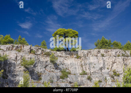 cliffs in Calanques near cassis provence france Stock Photo - Alamy