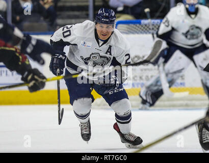 Jacksonville Icemen forward Wacey Rabbit (20) takes a shot during the ...