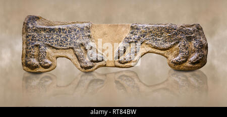 Catal Huyuk wall art Anatolian Civilization Museum Ankara Turkey Stock ...